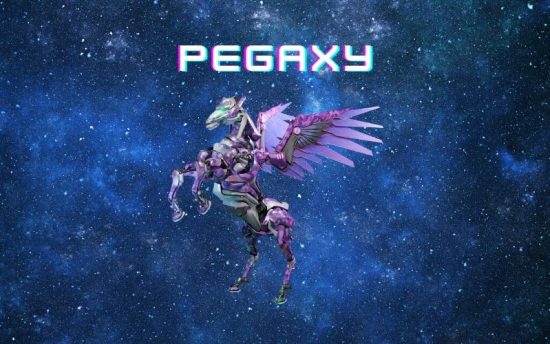 Pegaxy Rebuilds Rules for Shared Wallets and Pega NFT