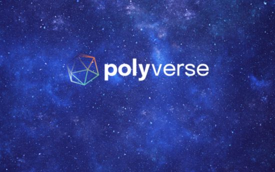 PolyVerse Life Offers Accessible Web3 Tools with No-Coding Smart Contracts